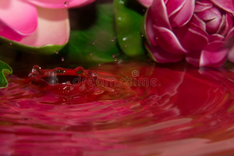 Red drop stock photo. Image of transparent, surface - 105298320