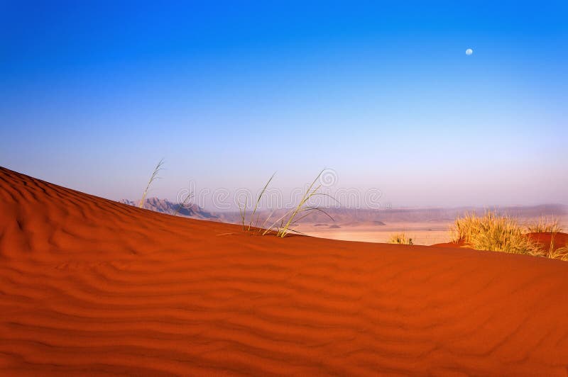 Detail of a Red Dune in Namibia Stock Photo - Image of arid, nature ...