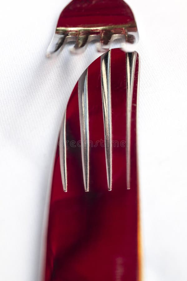 Detail of Red Fork Reflected on Knife from an Artistic Perspective ...