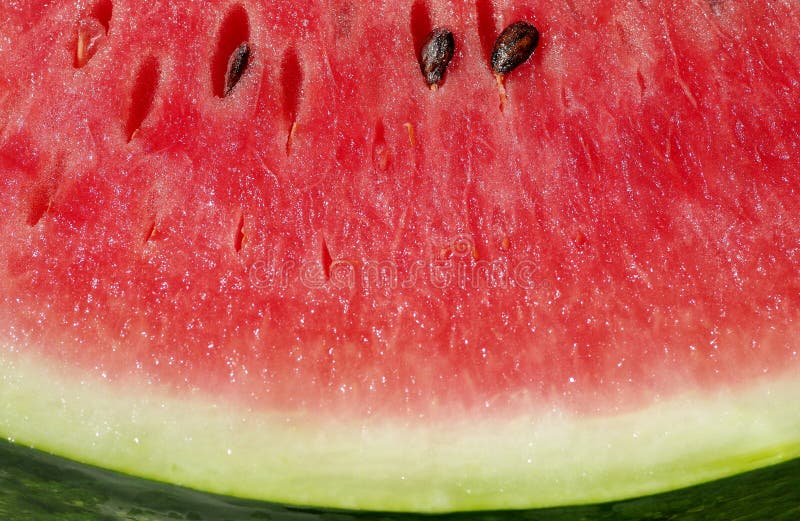 Detail of red melon stock image. Image of melon, fruit - 95469687
