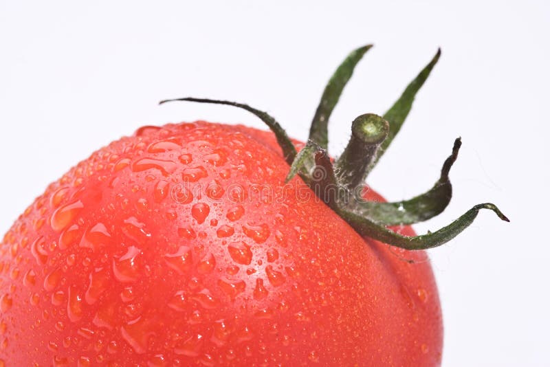 Detail of red tomato stock photo. Image of bright, diet - 10416338