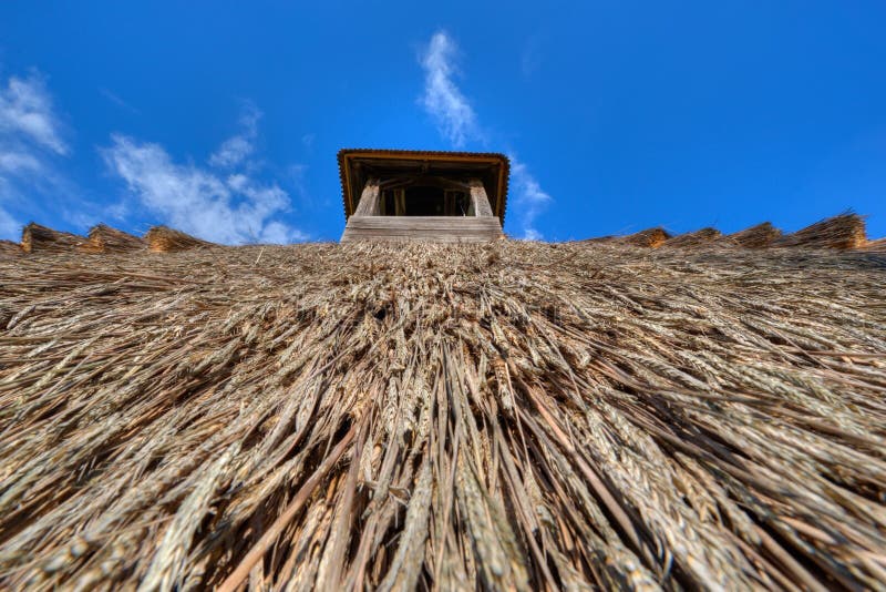 Reed Thatch stock image. Image of natural, bundle, straw - 2953325