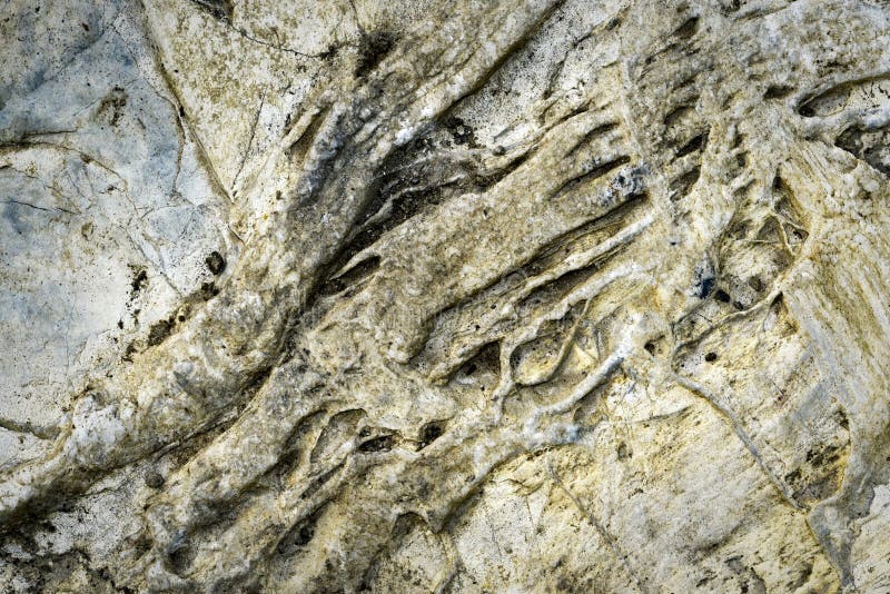 Detail of Relief on Limestone Rock Stock Image - Image of stony, strata ...