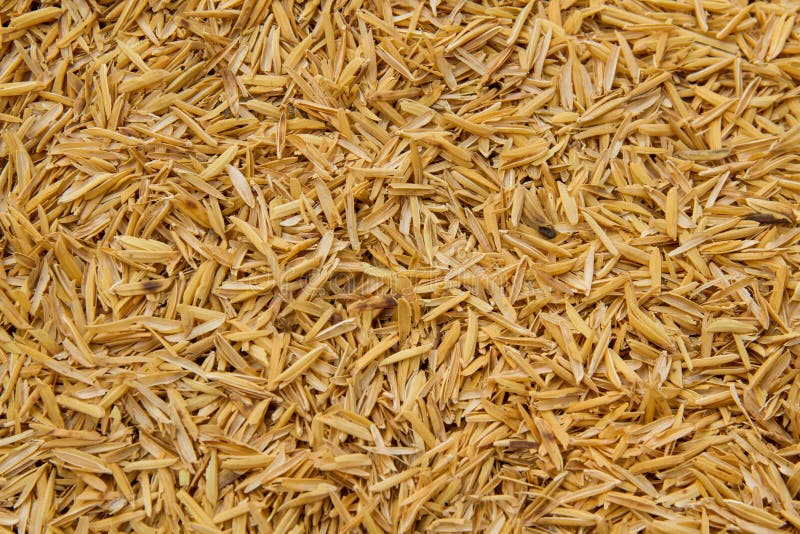 3,939 Rice Husk Stock Photos - Free & Royalty-Free Stock Photos from ...