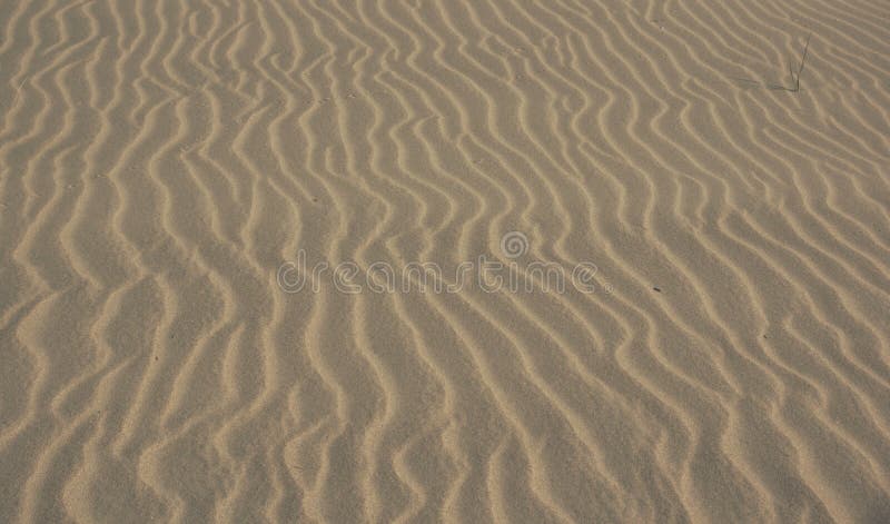 Ripple Marks on a Sandy Beach Stock Image - Image of grain, abstract ...