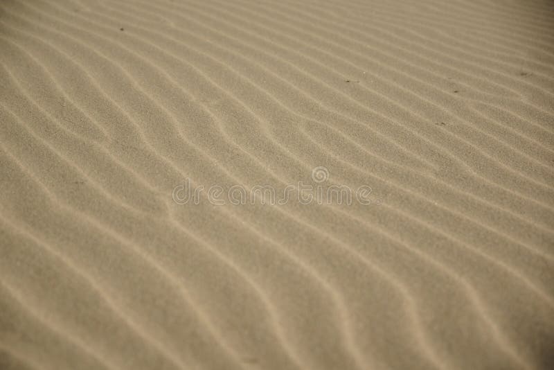 Ripple Marks on a Sandy Beach Stock Photo - Image of dirty, ocean ...