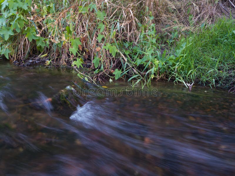 Detail from River, Water Flow Over Tree Root Near Bank Stock Photo ...