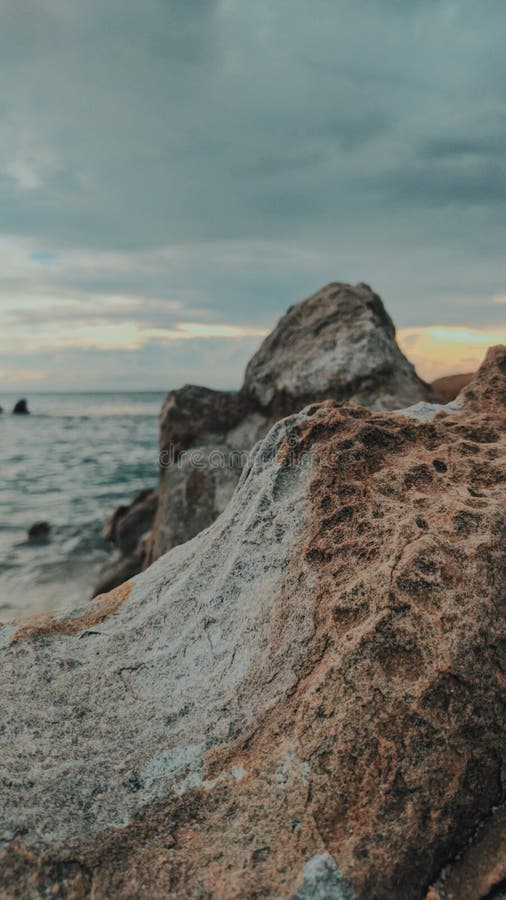 Detail of Rock at the Beach Stock Image - Image of coast, shore: 238810655