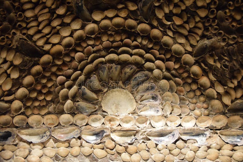 Shell Mural stock photo. Image of pumpkin, shell, collecting - 21987160