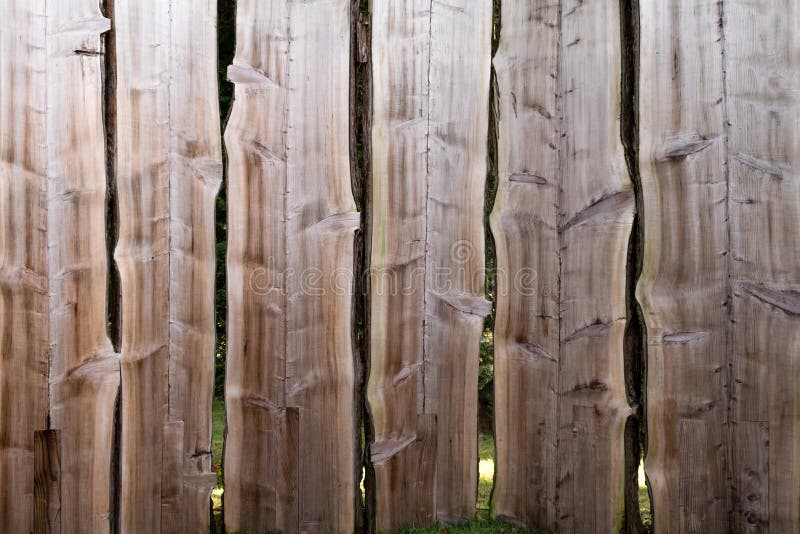 Detail about a Set of Pine Tree Planks Stock Image - Image of plank ...