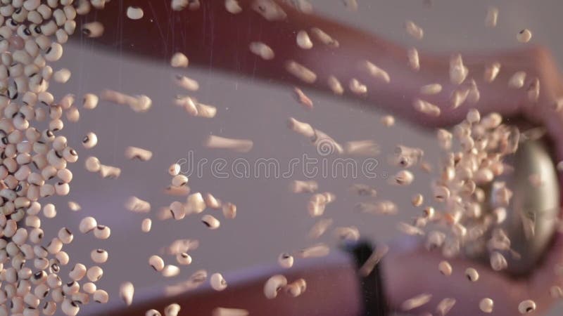 Detail of Several Beans Being Dropped from a Container Stock Video ...