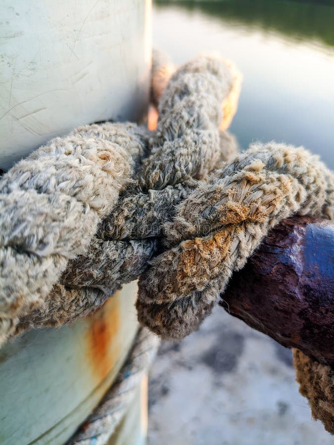 Ropes for tying stock photo. Image of pants, bunch, detail - 221608050