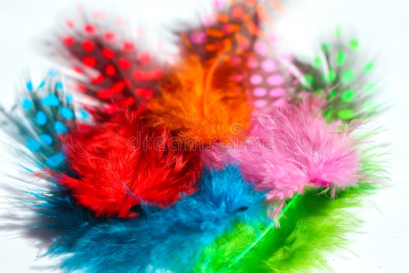Detail of Small Feathers of Different Colors Stock Image - Image of ...