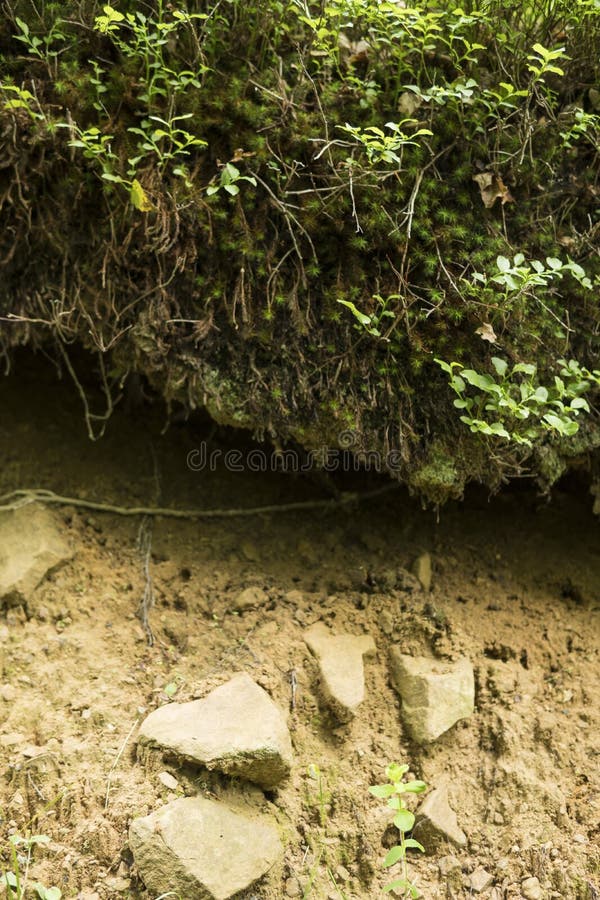 Detail of Soil in Mountains Stock Image - Image of earth, rock: 193856449