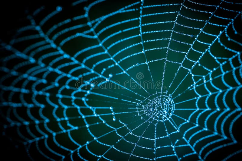 Detail of Spooky Cobweb on a Dark Night Background Stock Photo - Image ...