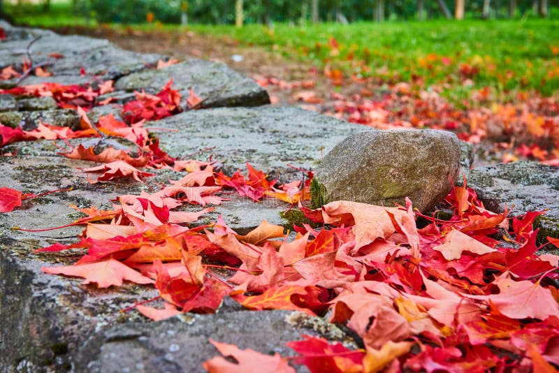 Detail of Stone Wall with Piles of Red Leaves from Peak Fall Stock ...