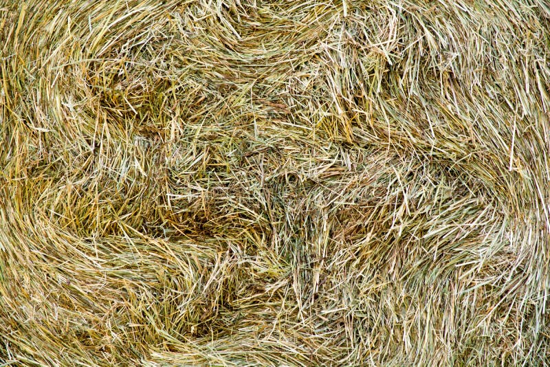 Detail of straw bale stock photo. Image of golden, beans - 67194660