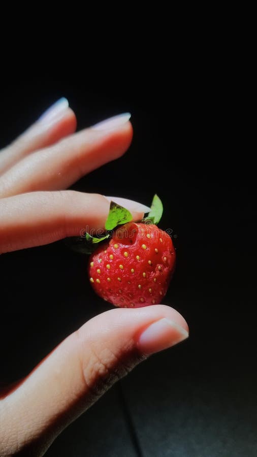 Detail of Strawberry Fruit in Finger Stock Photo - Image of detail ...