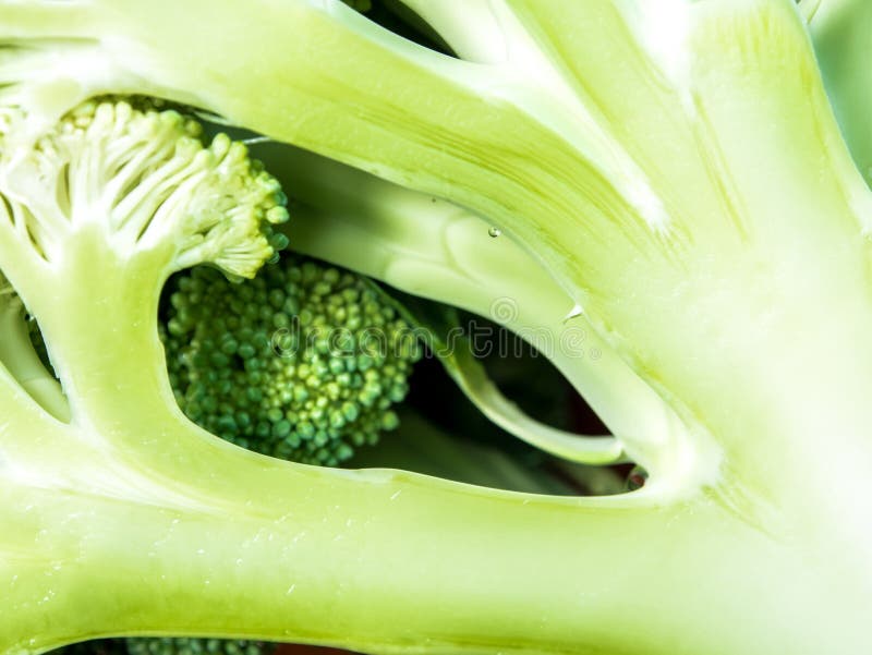 Detail of the Succulent Fresh Inside the Broccoli Stock Photo - Image ...