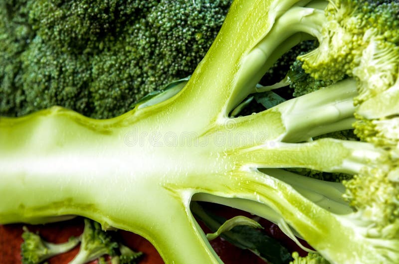 Detail of the Succulent Fresh Inside the Broccoli Stock Image - Image ...