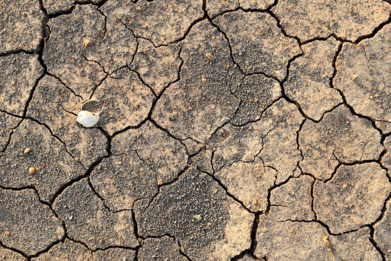 Surface Dry Soil for Background Stock Photo - Image of natural ...