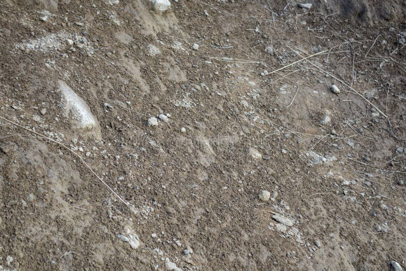 Detail Of Surface Texture With Small Pebble Rock And Grass On Dirty ...
