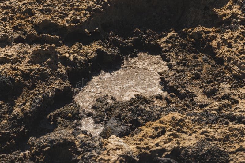 Detail of Tafoni Which are Cavities that Develop in Granular Rock Stock ...