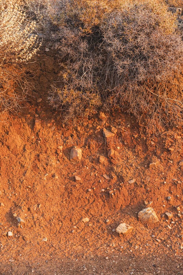 Detail of Terra Rosa Soil with Visible Layers Stock Image - Image of ...