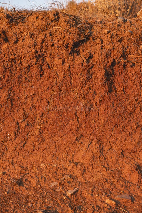 Detail of Terra Rosa Soil with Visible Layers Stock Image - Image of ...