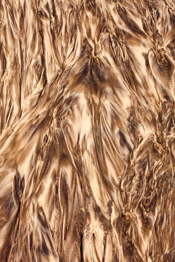 Detail of Textural Patterns in Sand Stock Image - Image of sand ...