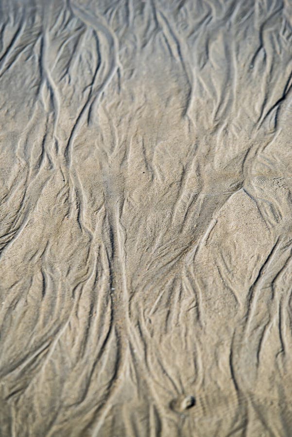 Detail of the Texture of the Beach Sand Stock Image - Image of ocean ...