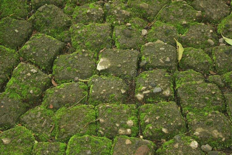 Detail and texture stone stock photo. Image of detail - 207504098