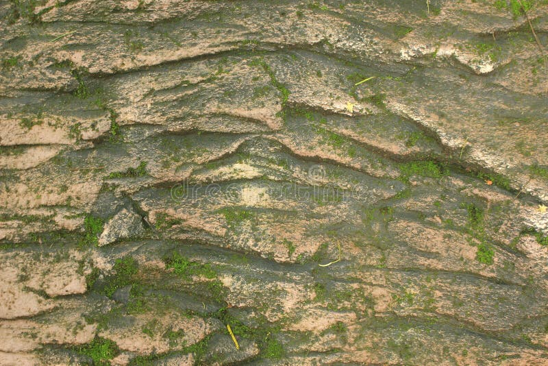 Detail and texture stone stock photo. Image of macro - 207504090