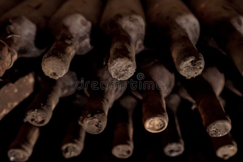 Detail of Thick Mold Covering Wine Bottles in an Underground Wine ...