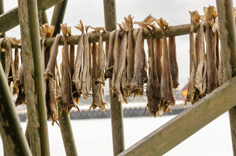 Detail of a Typical Norwegian Drying Rack for Cod Fish. Stock Image ...