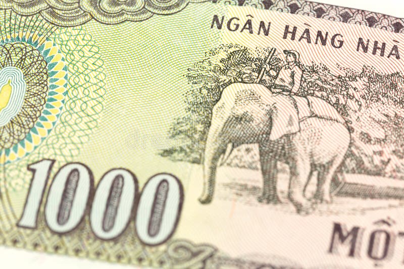 Detail of a New 1000 Norwegian Krone Banknote Obverse Stock Image ...