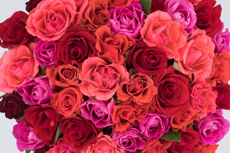 Detail View on an Bunch of Roses Stock Image - Image of colorful ...