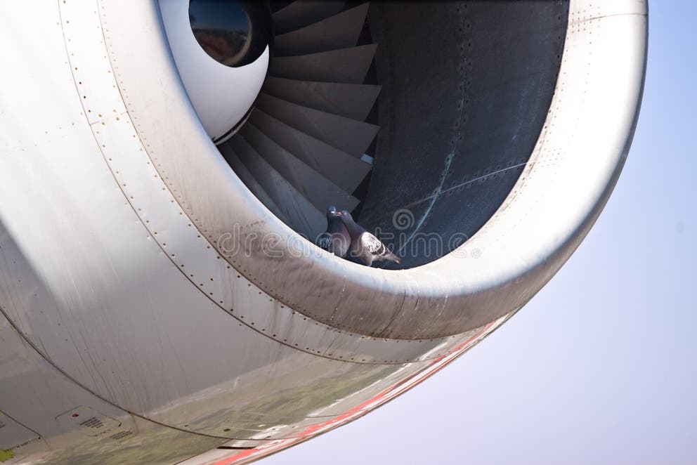Detail View of a Jet Plane Engine, with Two Doves Stock Photo - Image ...