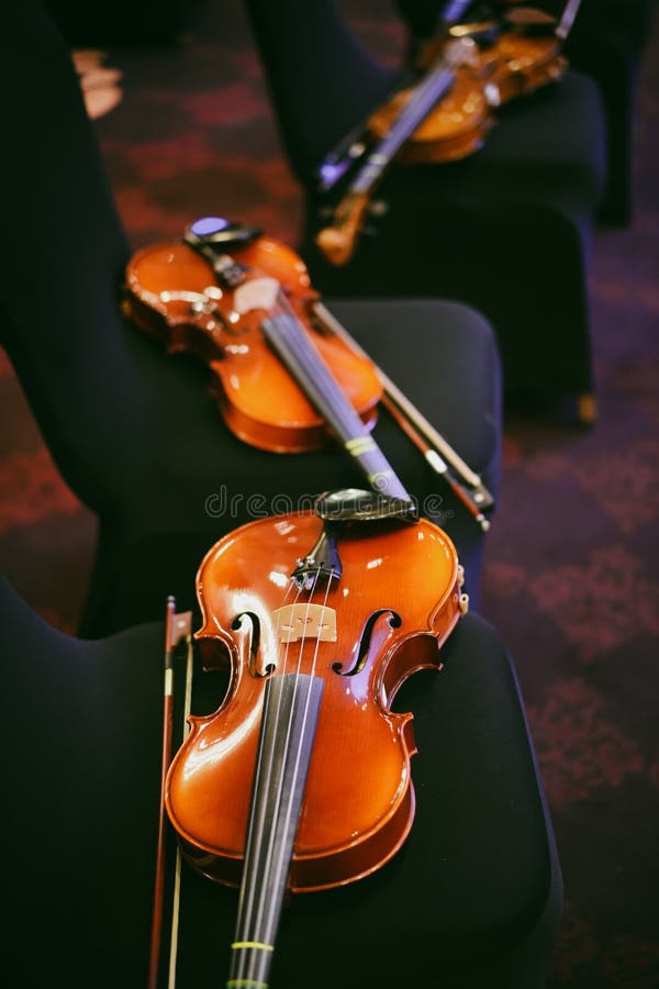 Two violins on some chairs stock photo. Image of dark - 261039970