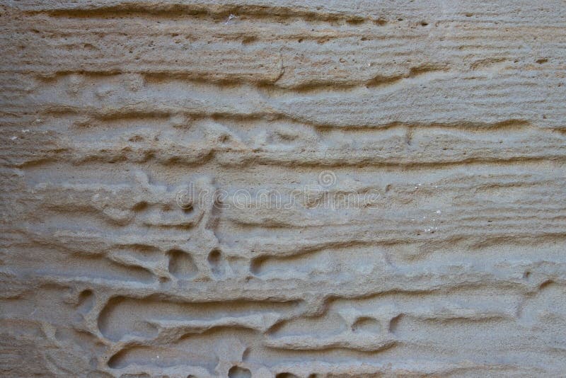 Detail of Washed Out Natural Brown Sandstone Texture, Full Frame for ...