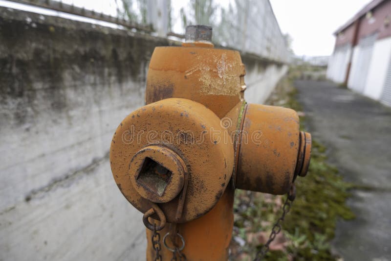 Red fire hydrant stock photo. Image of city, indoor - 319647116