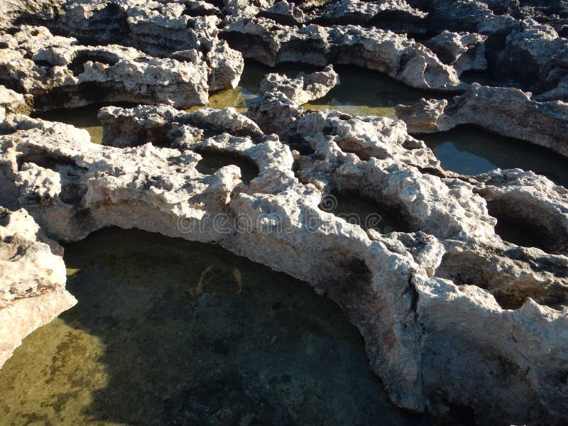 Detail of a Weathered Limestone Stock Image - Image of detail ...