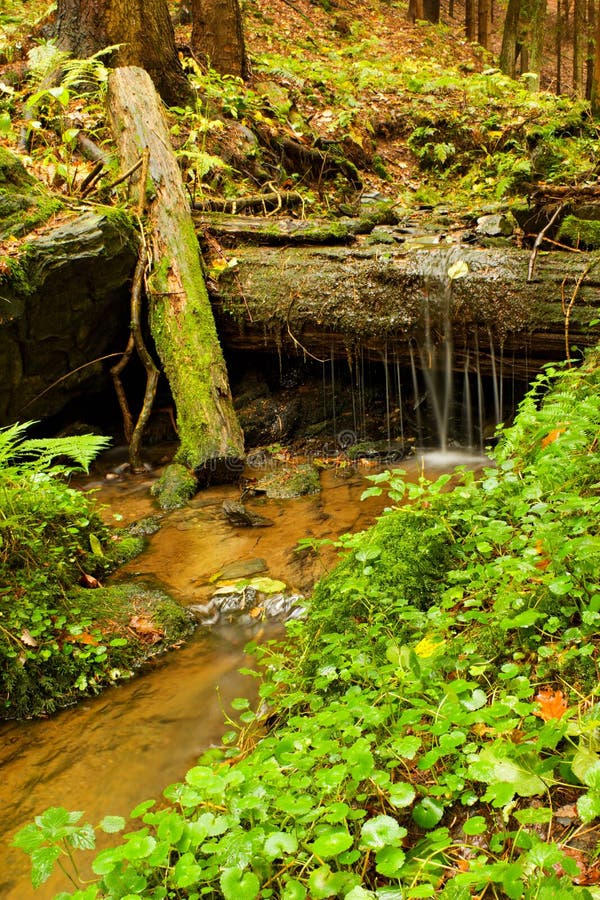 Detail weir stock image. Image of green, moss, boulder - 48164197