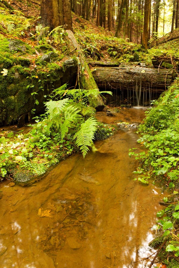 Detail weir stock image. Image of mossy, beautiful, motion - 48164227