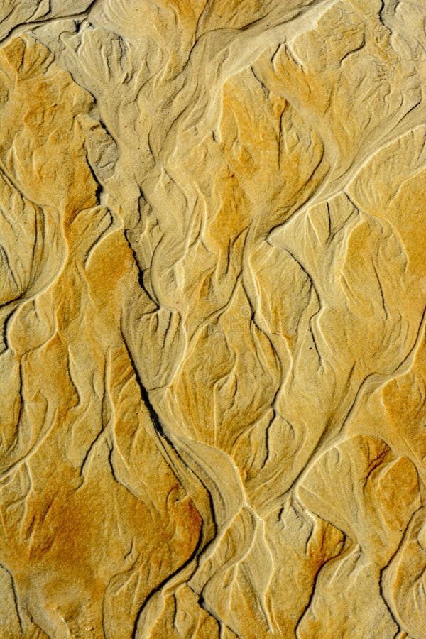 Beach sand structure stock photo. Image of summer, detail - 149627572