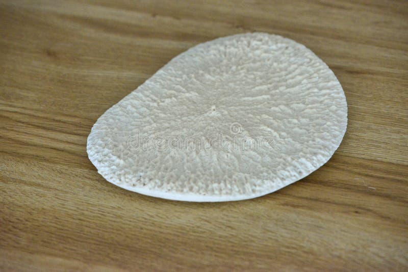 Detail of Whale Backbone Spine Whale Stock Image - Image of whale ...