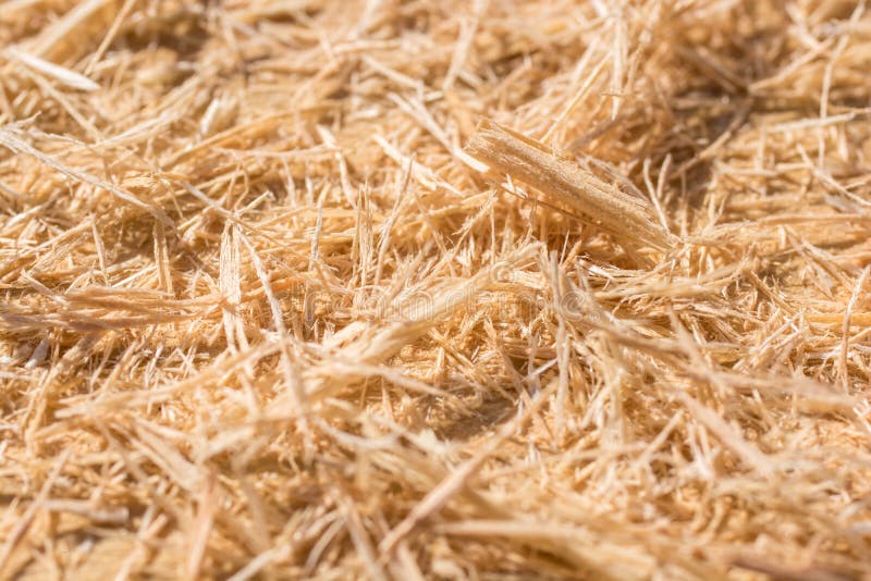 Wood splinter stock photo. Image of firewood, split, brown - 78187914