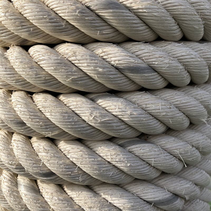 Wrapped in Rope stock image. Image of gorgeous, skin - 33349141