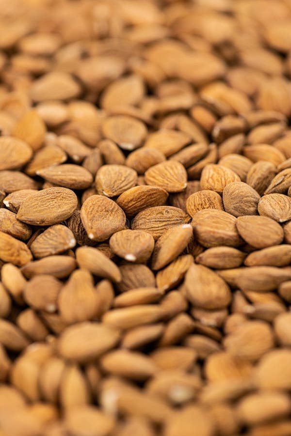 Apricot Kernels Use Background Texture Stock Photos - Free & Royalty ...