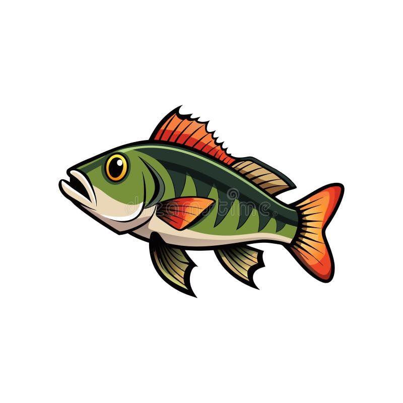 Detailed Windshadow Bass Fish Realistic Artwork Stock Image ...
